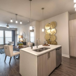 Apartments Near Trinity Groves With Rooftop Pools | 555 Ross